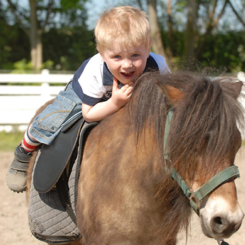 Familotel Frieslandstern – Die Seesterne